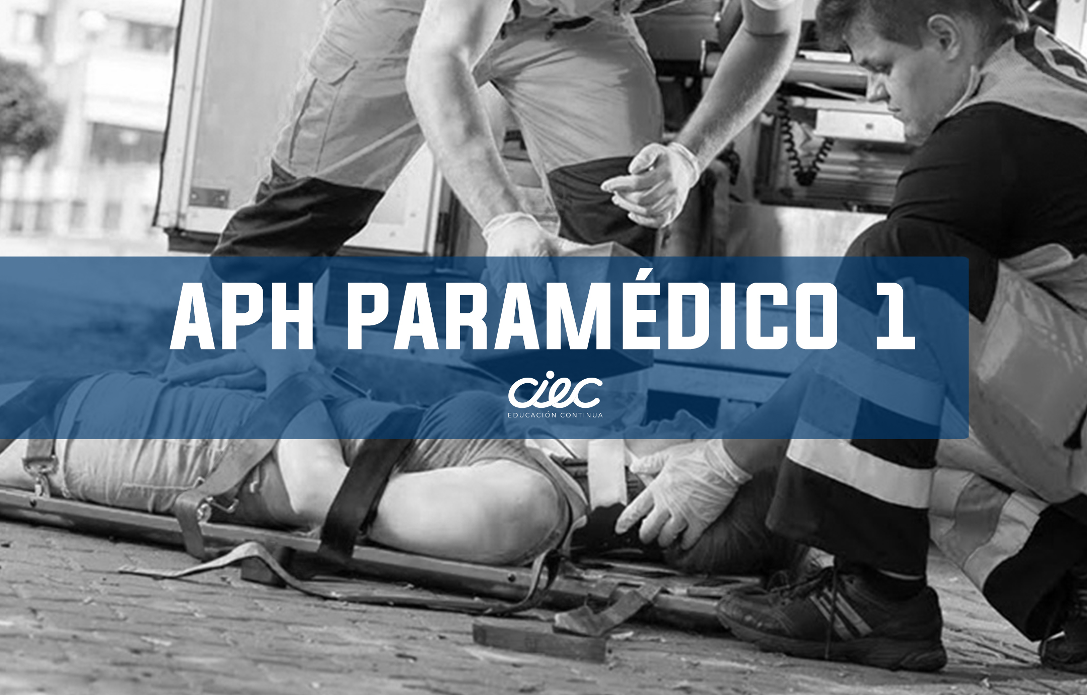 CIEC: Todos los cursos